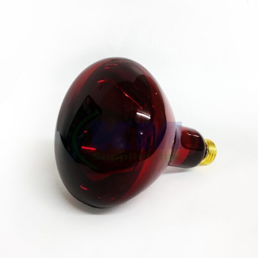 250W R40 Red Infrared Light Bulb (적외선 램프용 전구 250W) – KM Supplies